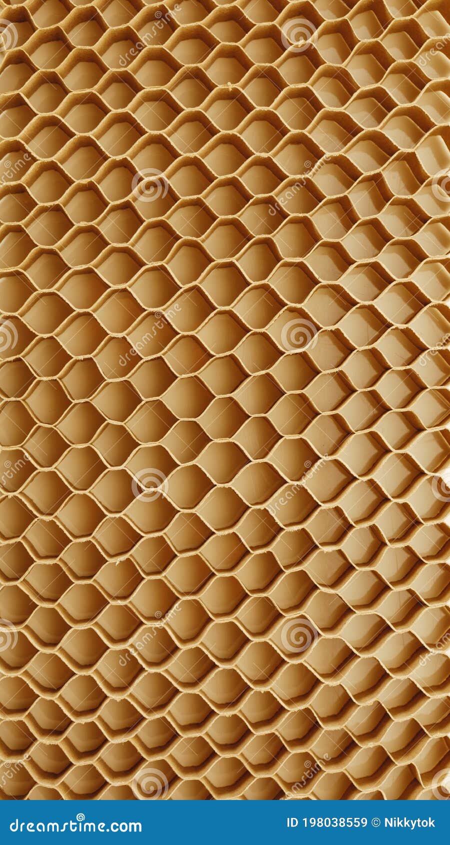 Honeycomb Cells of Cardboard Stiffening Rib Background Stock Image ...