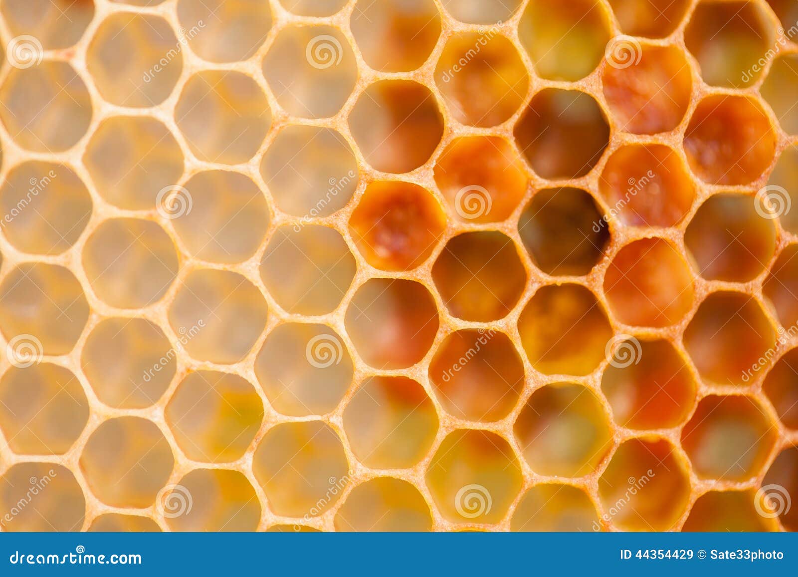 Honeycomb Cells Of Cardboard Stiffening Rib Background Royalty-Free ...