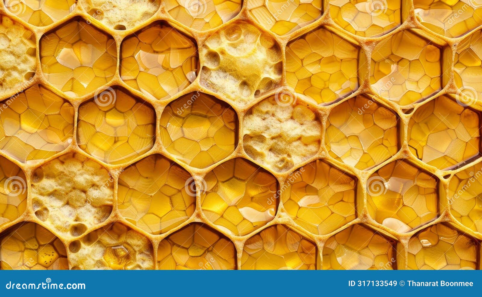 Honeycomb Collage Template Interconnected Hexagons for Unique Structure ...