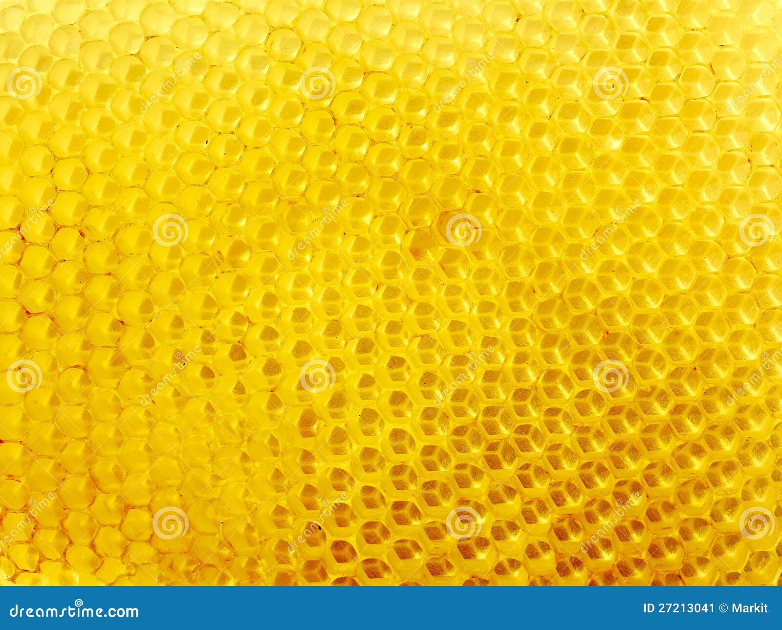 Row Of Empty Cells In Old Prison In High Contrast Stock Photography ...