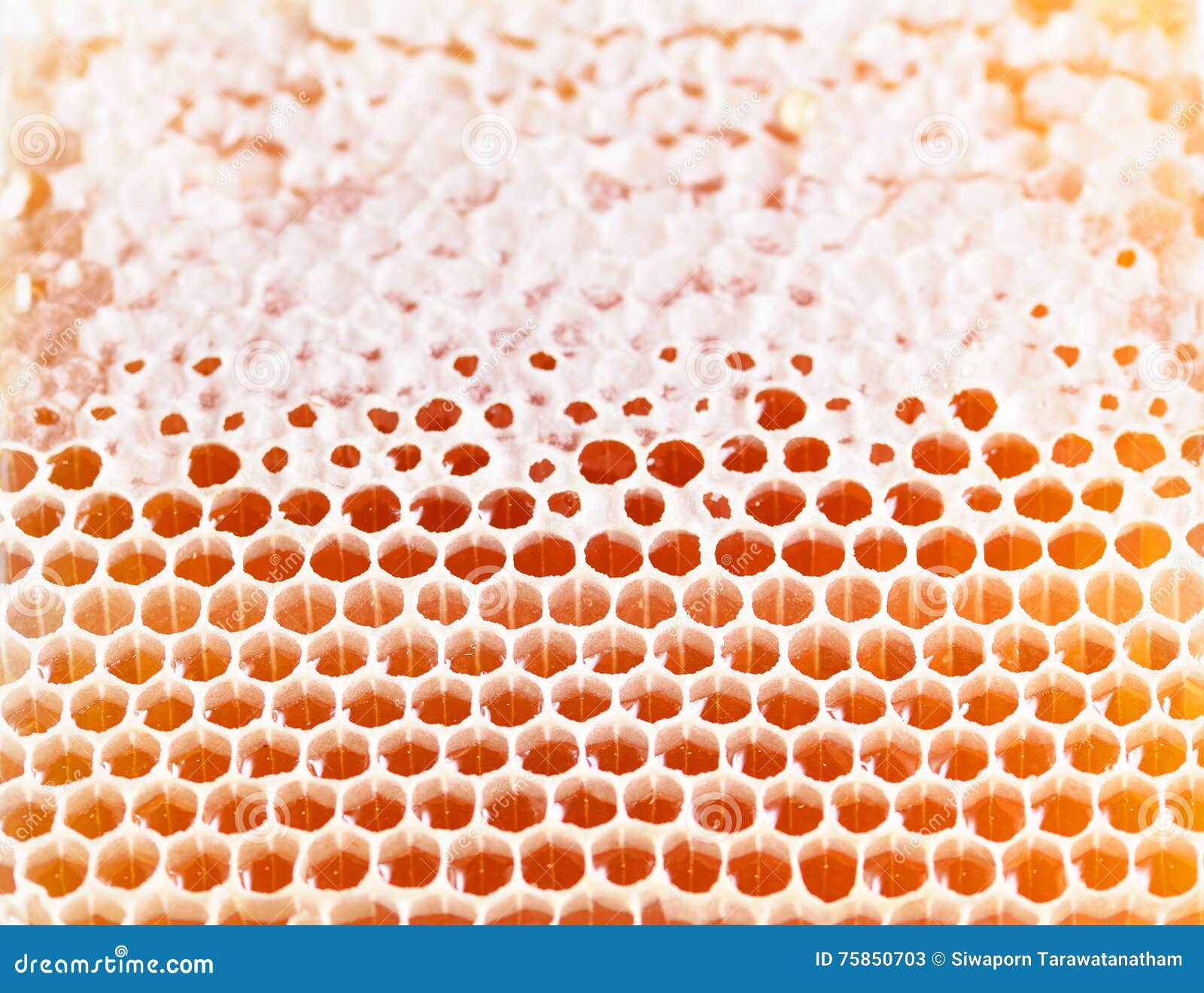 Honeycomb Filled with Honey Texture Stock Image - Image of close ...