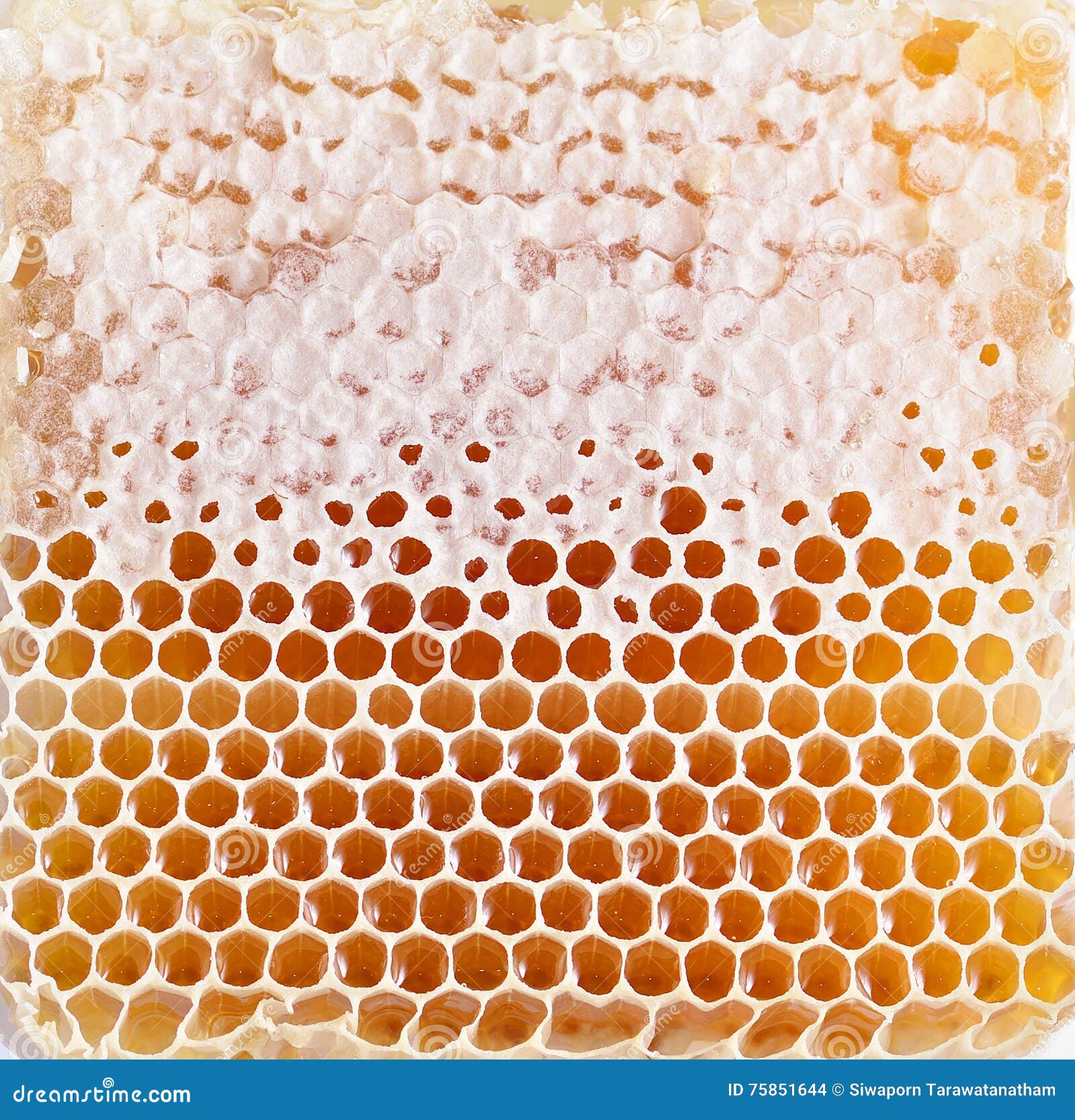 Honeycomb Filled with Honey Texture Stock Photo - Image of honeycomb ...