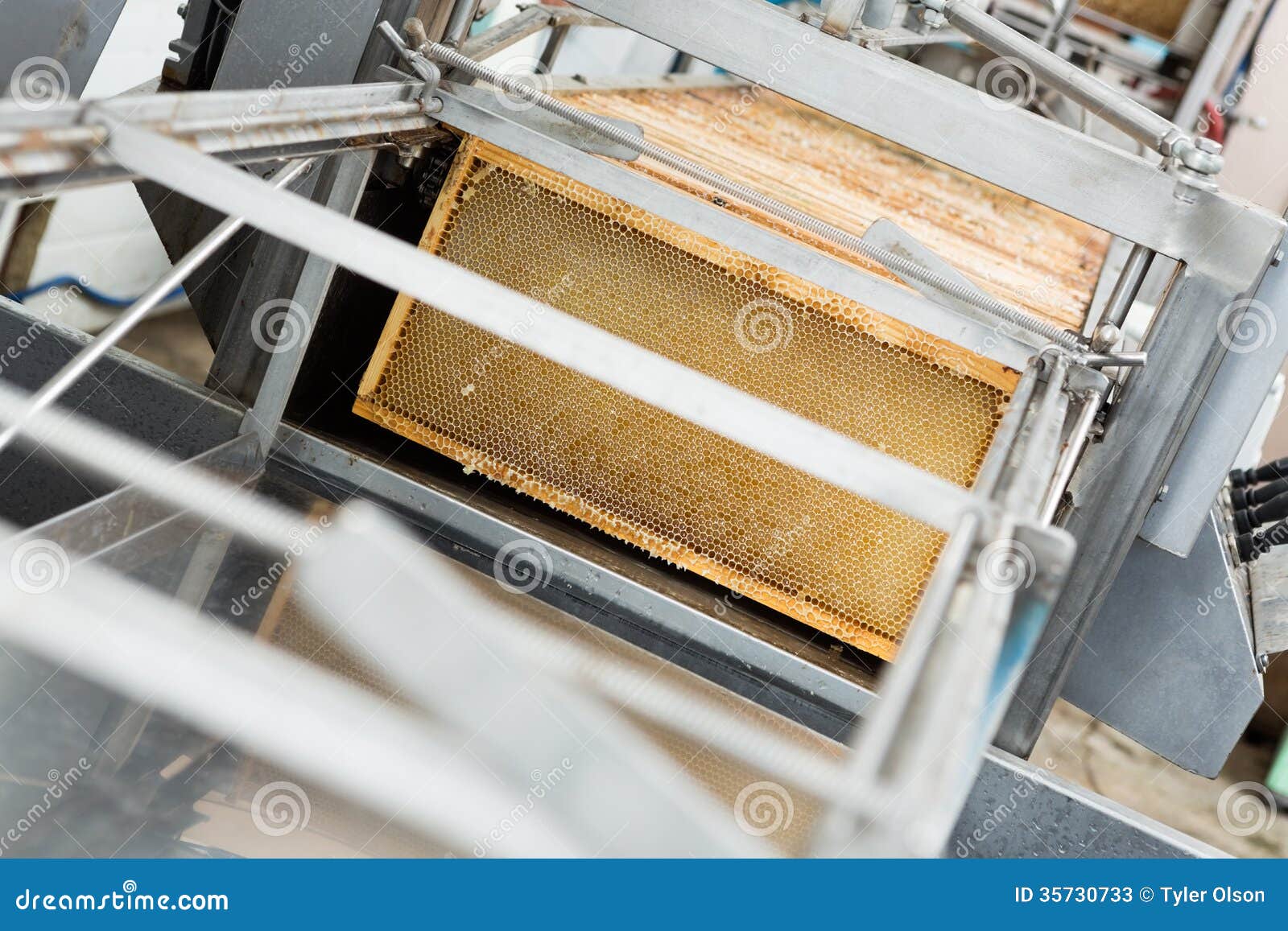 Honeycomb Frames in Extraction Plant Stock Image - Image of automated ...