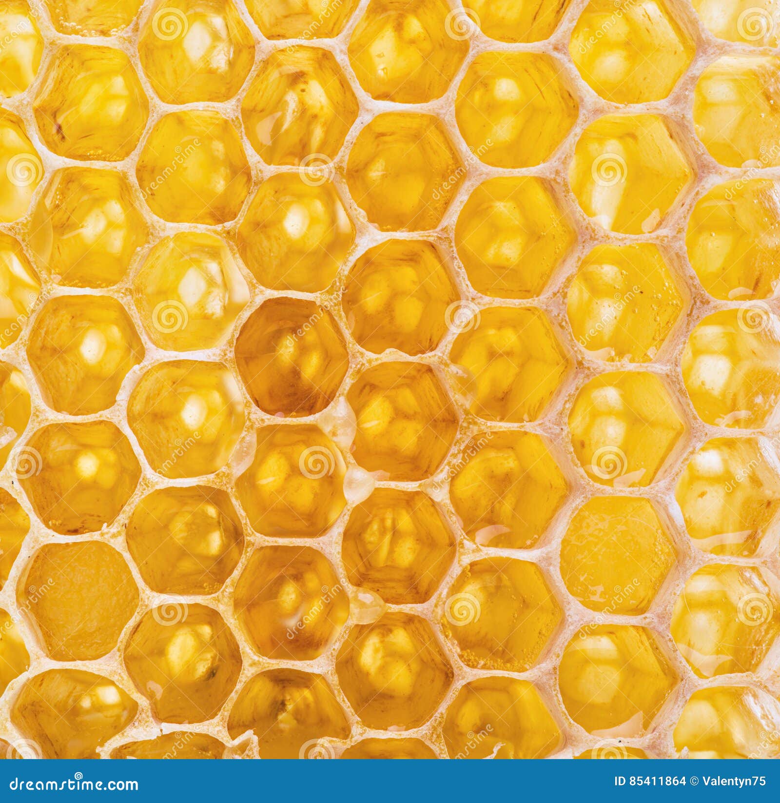 Honeycomb. High-quality Picture Stock Photo - Image of organic, comb ...