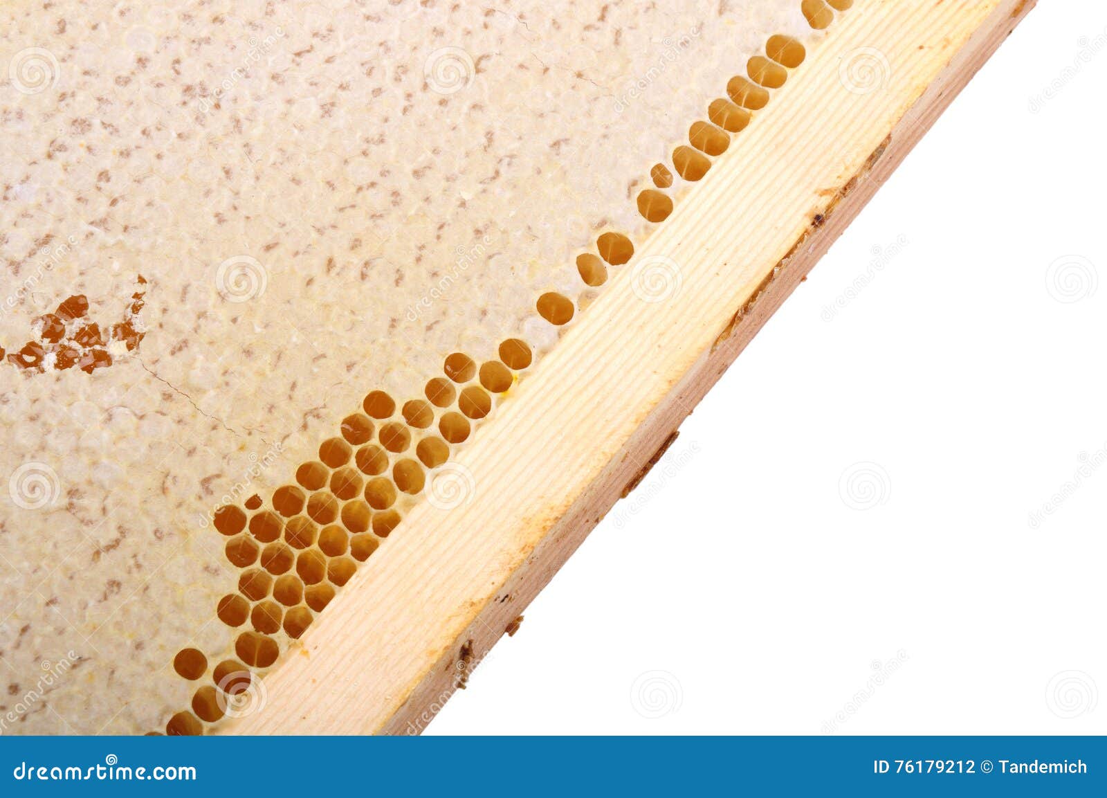 Honeycomb with Honey in a Wooden Frame Stock Photo - Image of beeswax ...