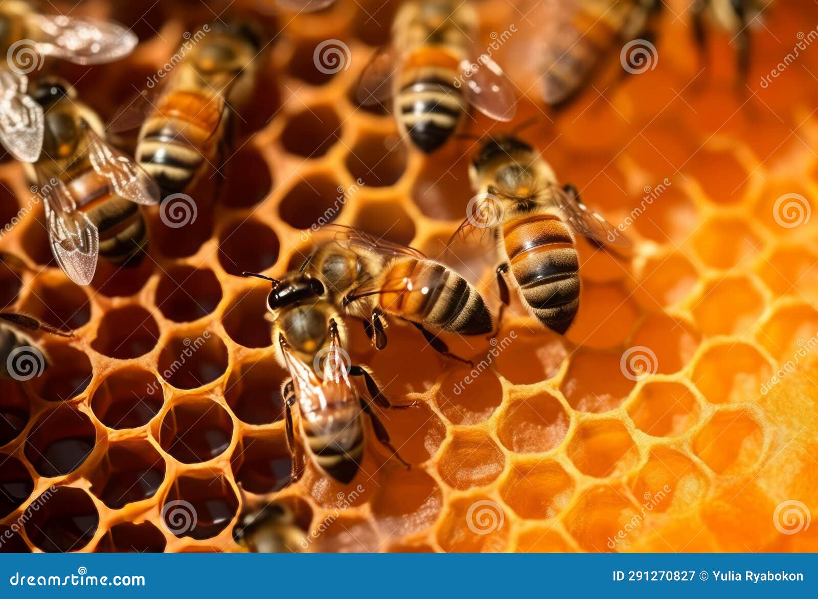 Insect Bees, Dragonflies, Beetles, Moths. Set. Vintage Hand Drawn ...