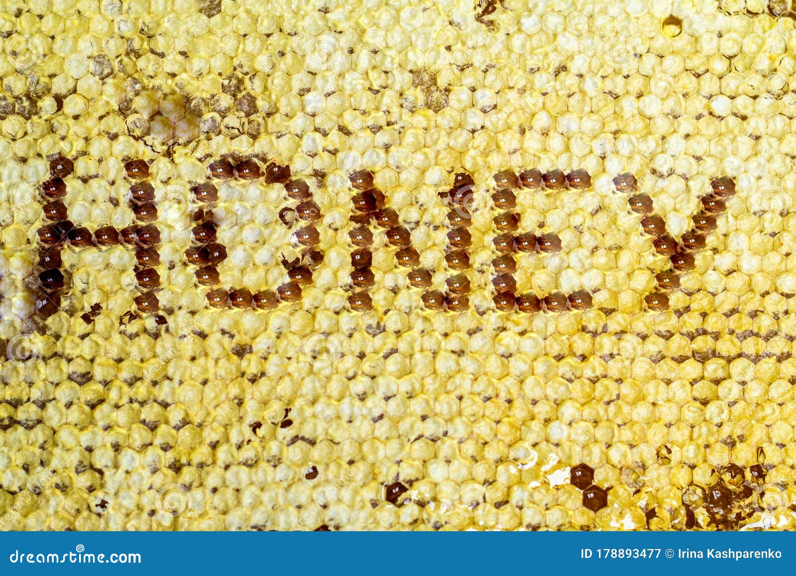 Honeycomb with Lettering Text Honey.Handwritten Words Honey Stock Image ...
