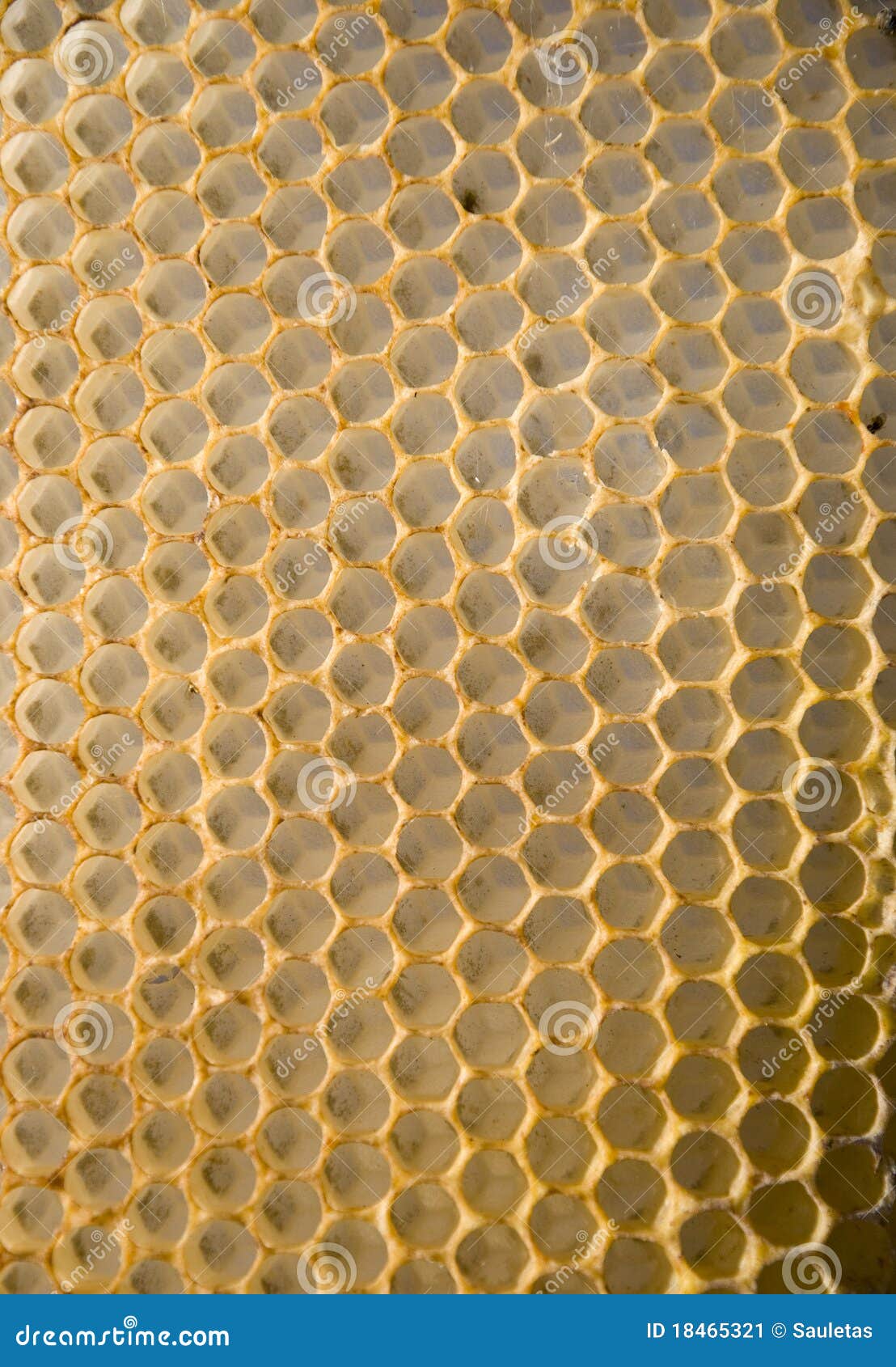 Honeycomb mesh stock image. Image of medicine, backdrop - 18465321