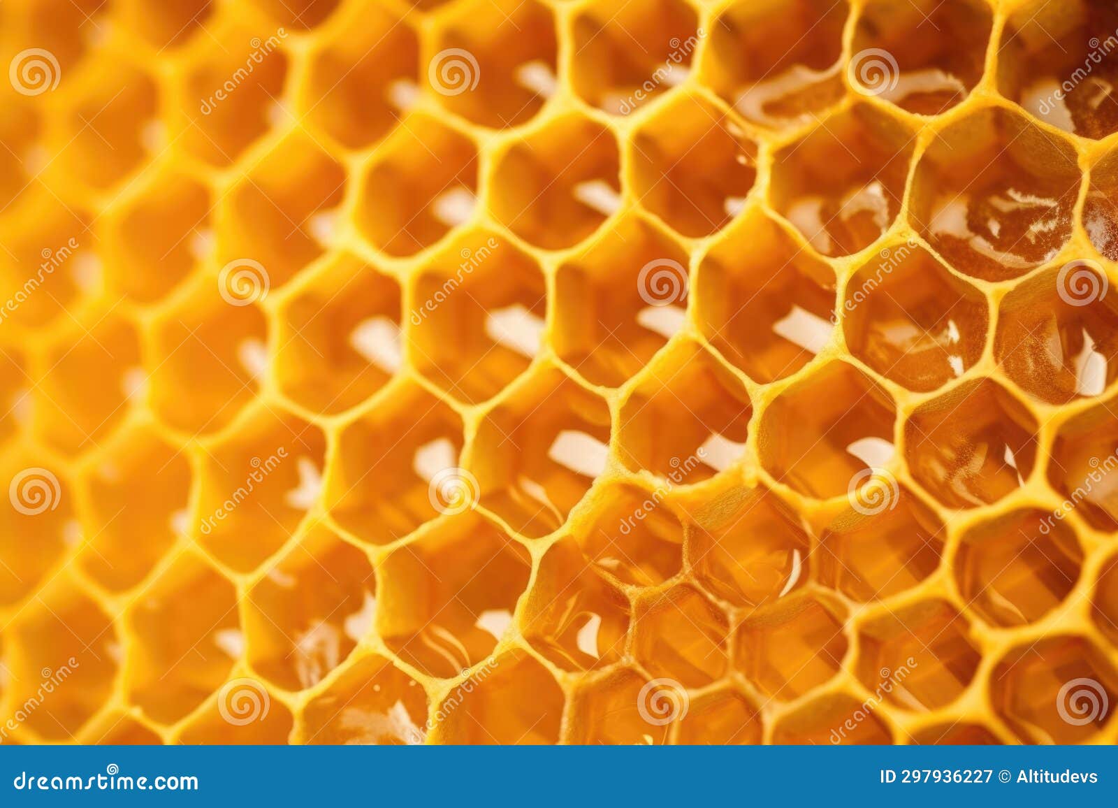 Honeycomb in Natural Daylight Stock Image - Image of daylight, natural ...
