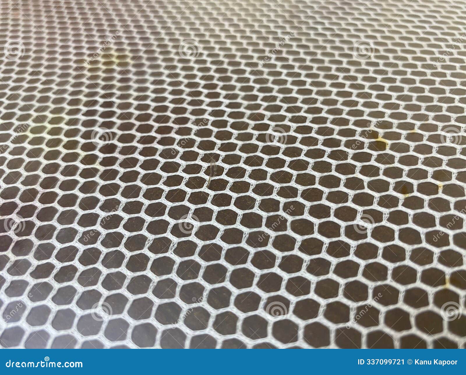 Honeycomb Net Features Delicate, Hexagonal Patterns, Creating a ...