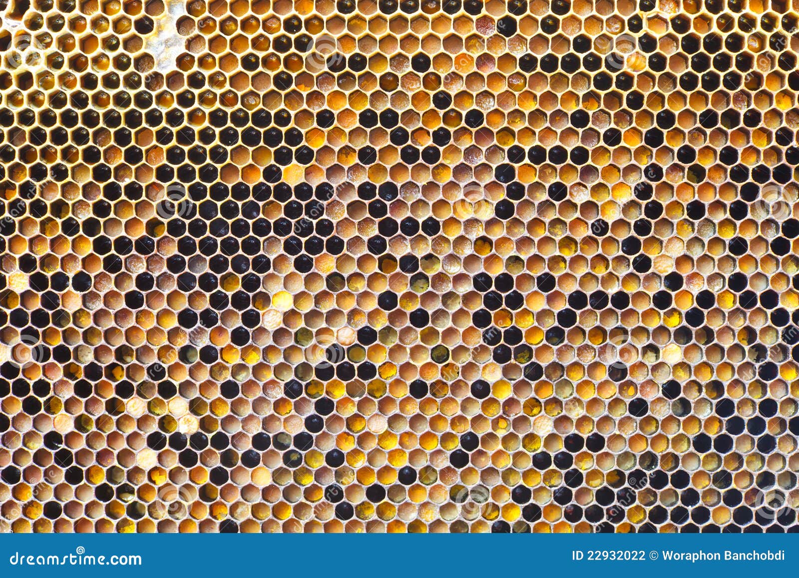 Honeycomb pattern stock photo. Image of medicine, honey - 22932022
