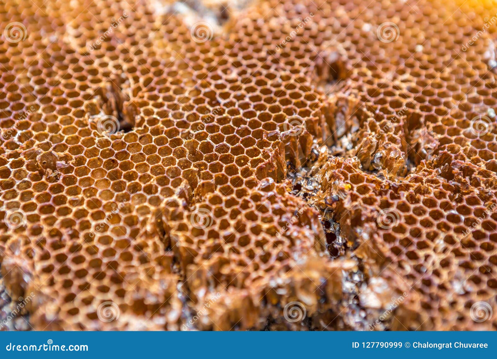 Honeycomb Pattern Texture Background Stock Image - Image of natural ...