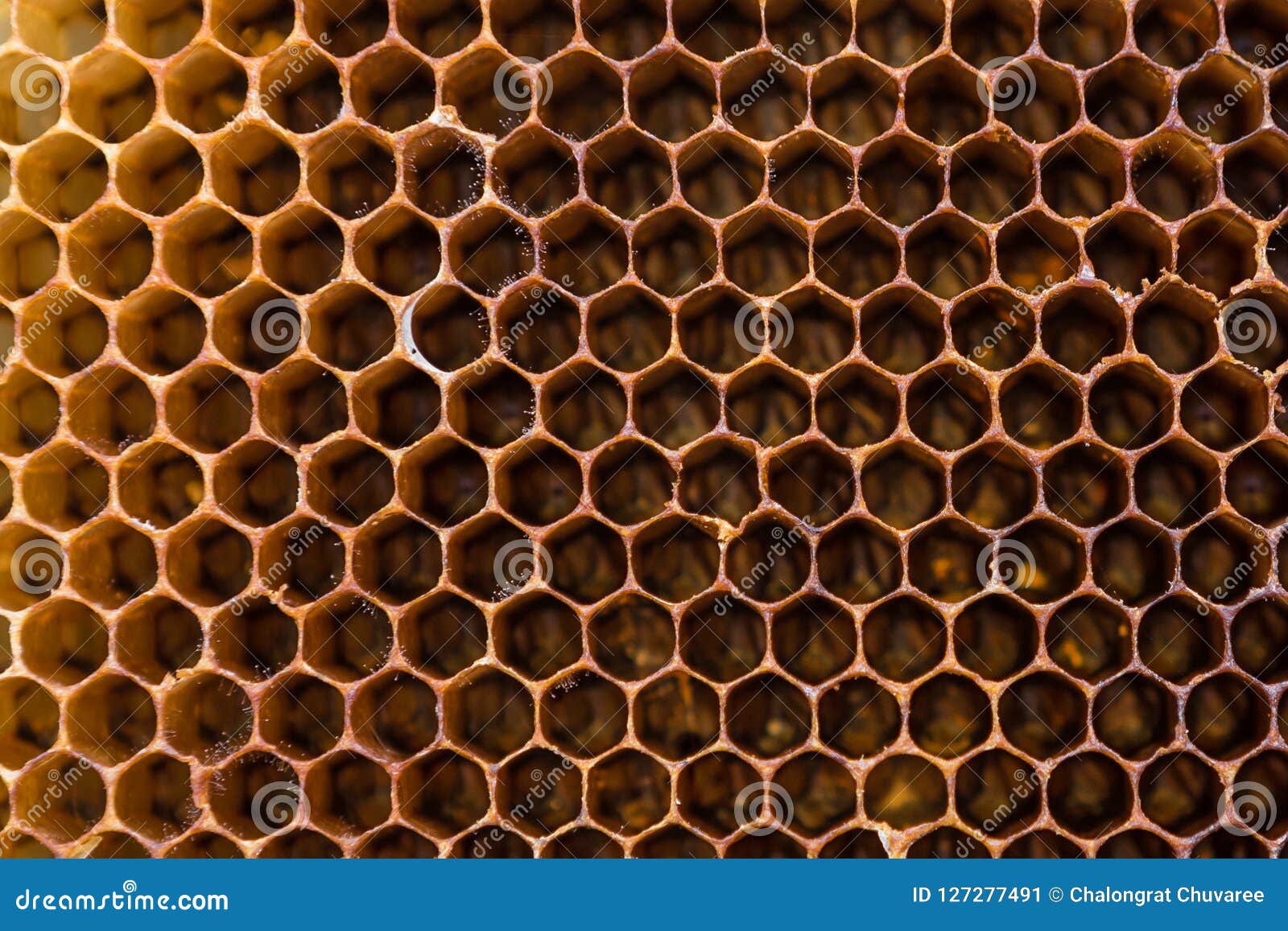 Honeycomb Pattern Texture Background Stock Image - Image of medicine ...