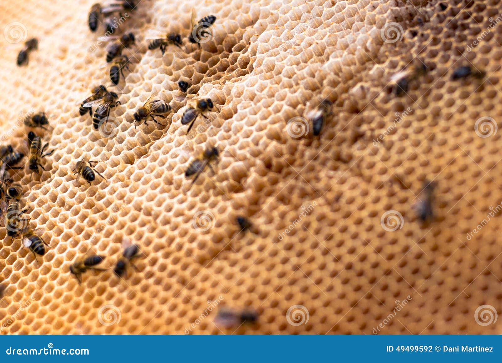 Row Of Empty Cells In Old Prison In High Contrast Stock Photography ...