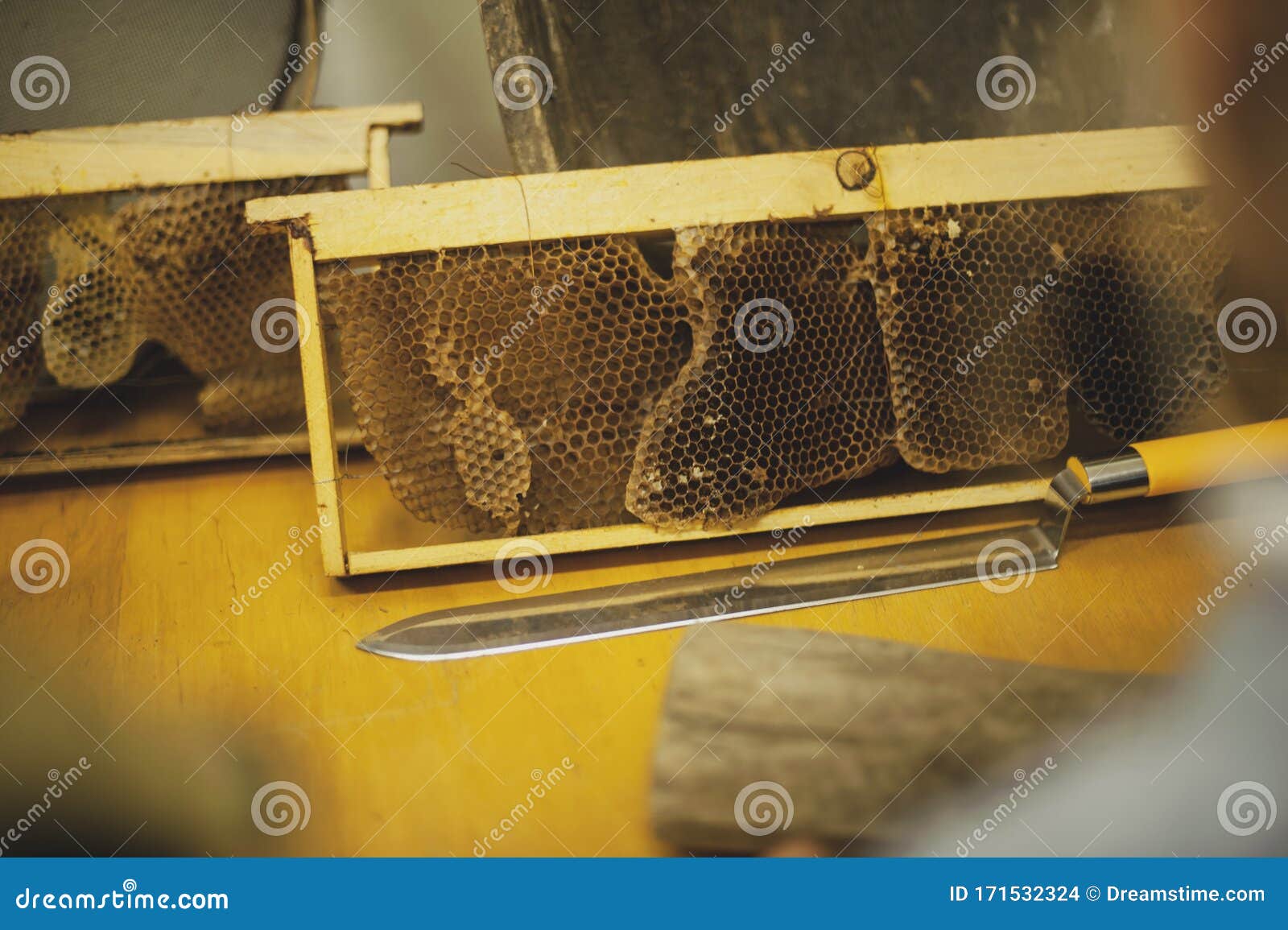 Honeycomb Stands on a Table in a Wooden Frame Stock Photo - Image of ...