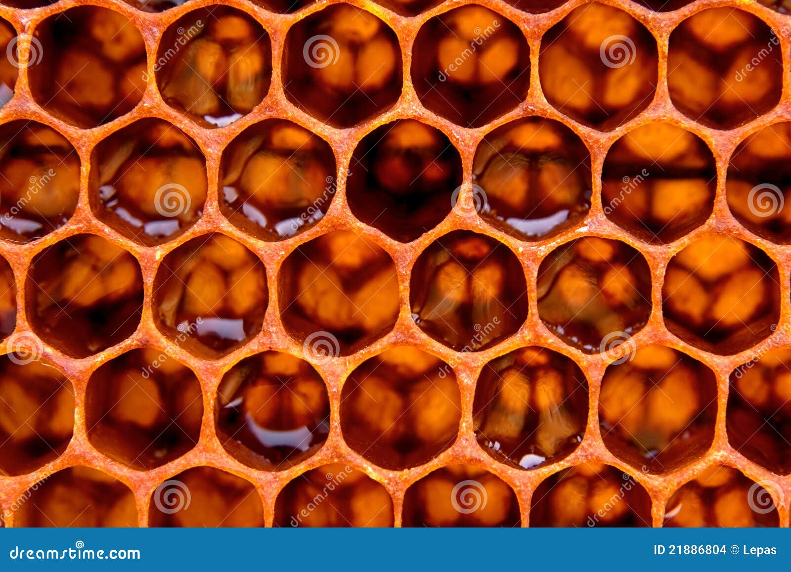 Honeycomb structure stock photo. Image of honey, brown - 21886804
