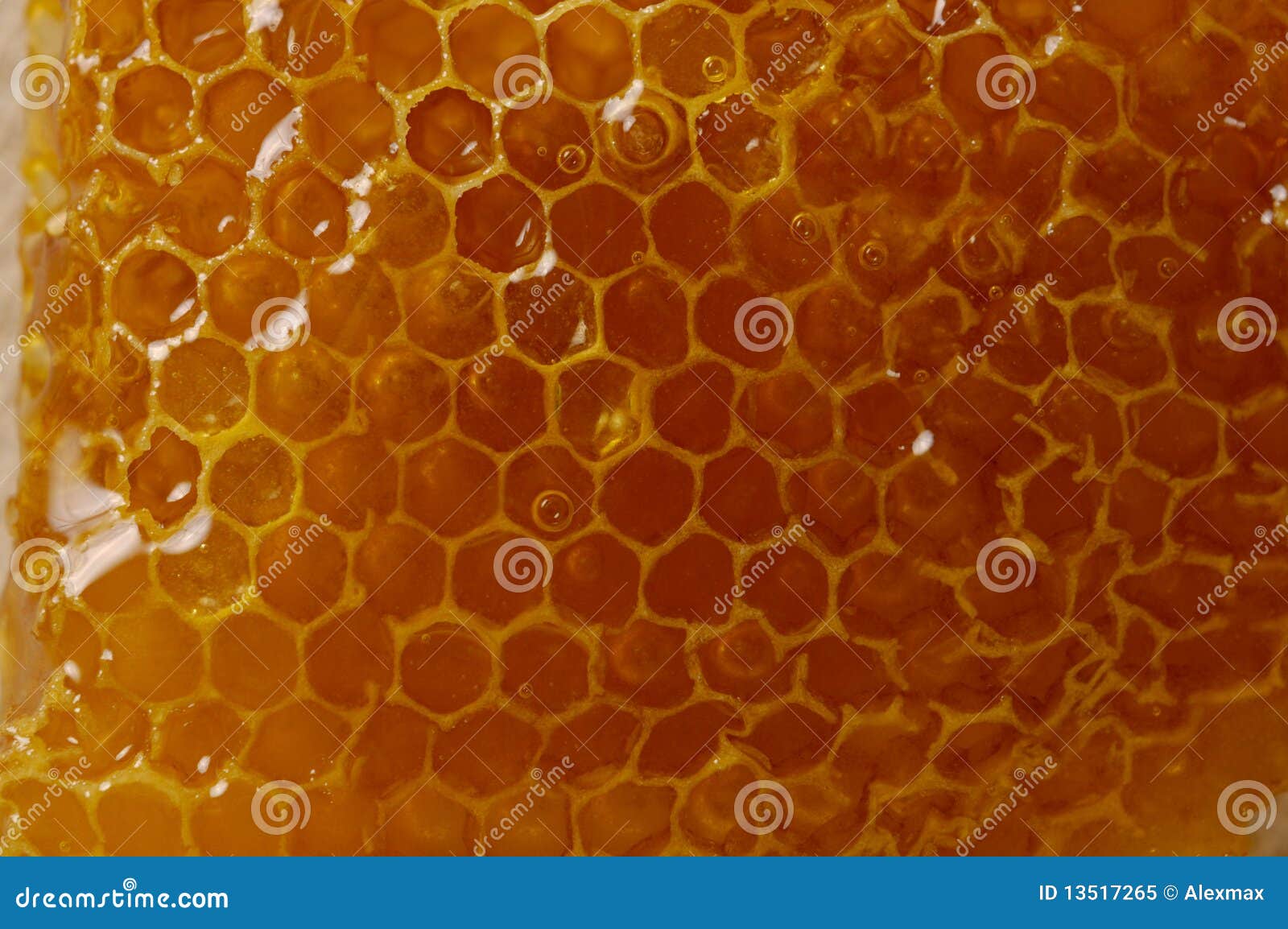 Honeycomb Texture stock image. Image of abstract, combs - 13517265
