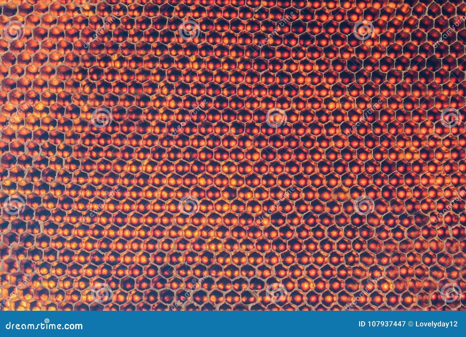 Honeycomb Texture Stock Photography | CartoonDealer.com #19709588