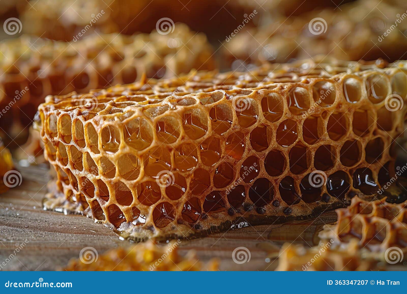 Hive Hexagonal Background With Success Word Vector Illustration ...