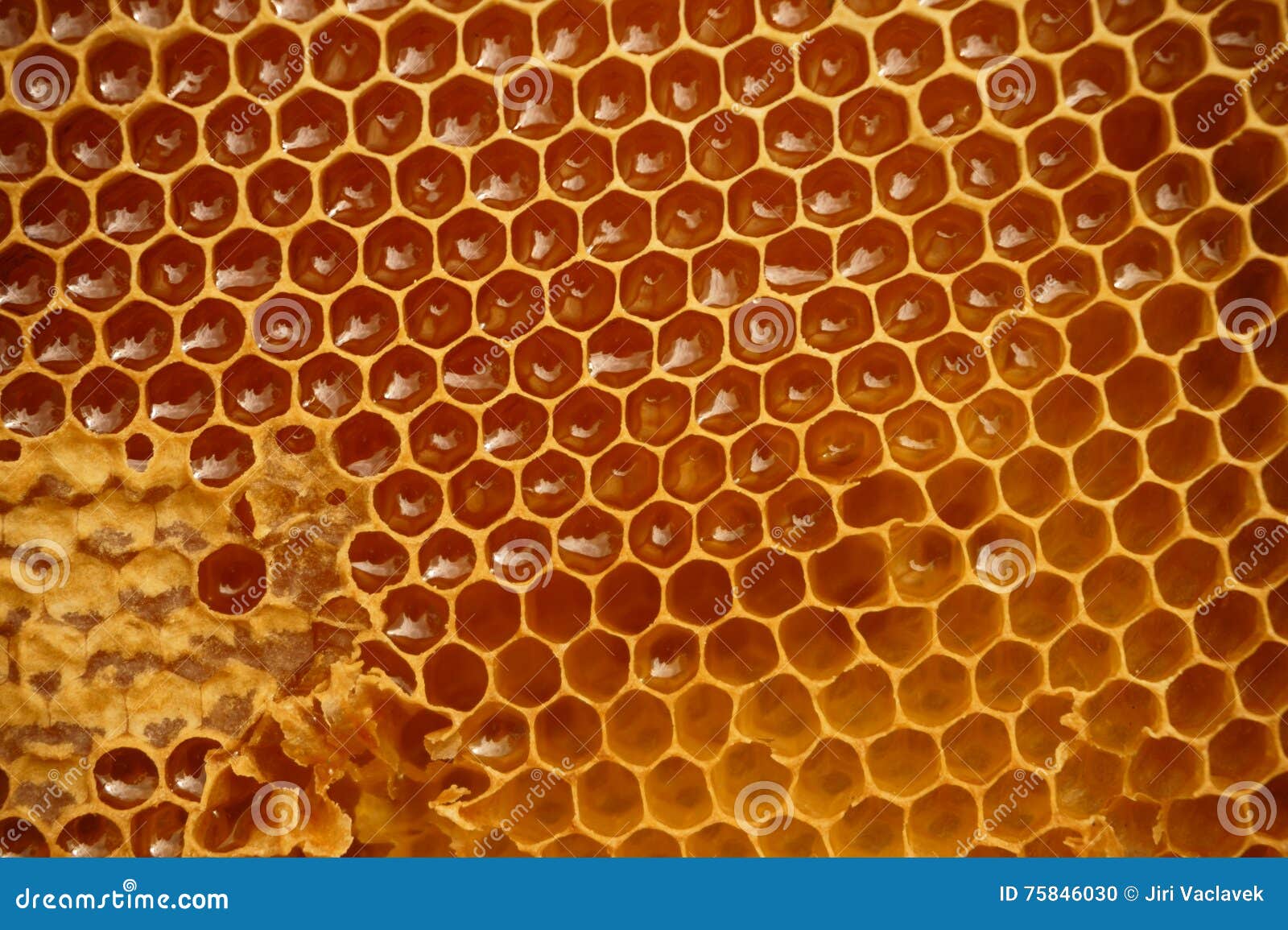 Honeycomb Texture with Honey Stock Photo - Image of summer, backgrounds ...