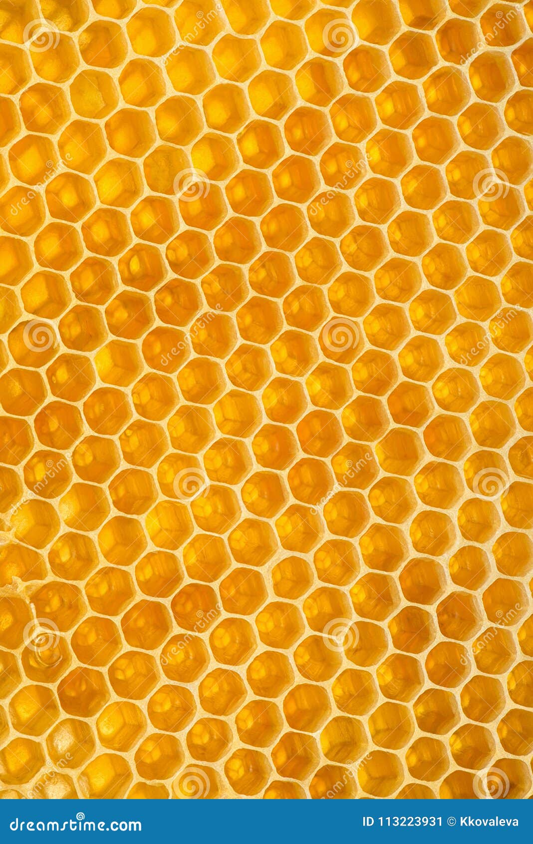 Honeycomb Texture for Natural Background Stock Image - Image of yellow ...