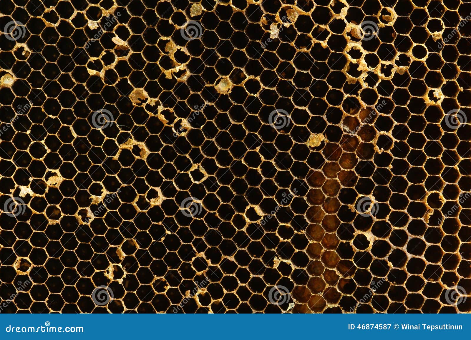 Honeycomb texture stock image. Image of backdrop, surface - 46874587