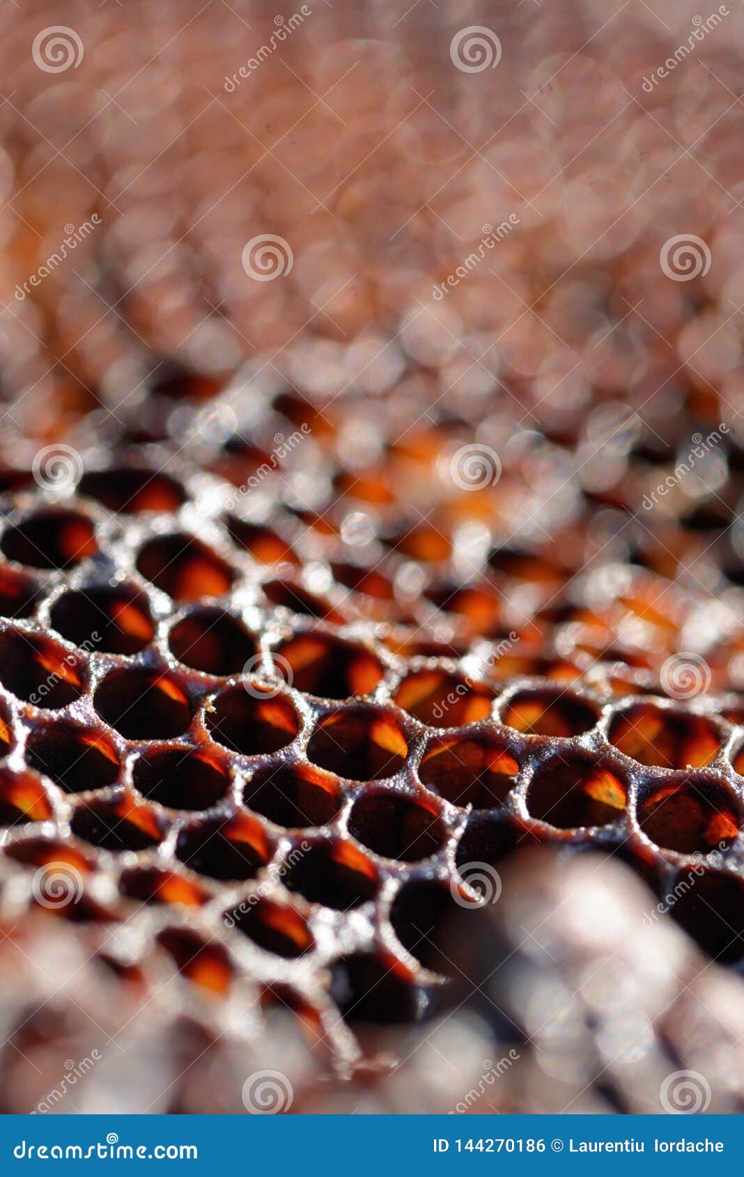 Honeycomb wax cell texture stock photo. Image of macro - 144270186