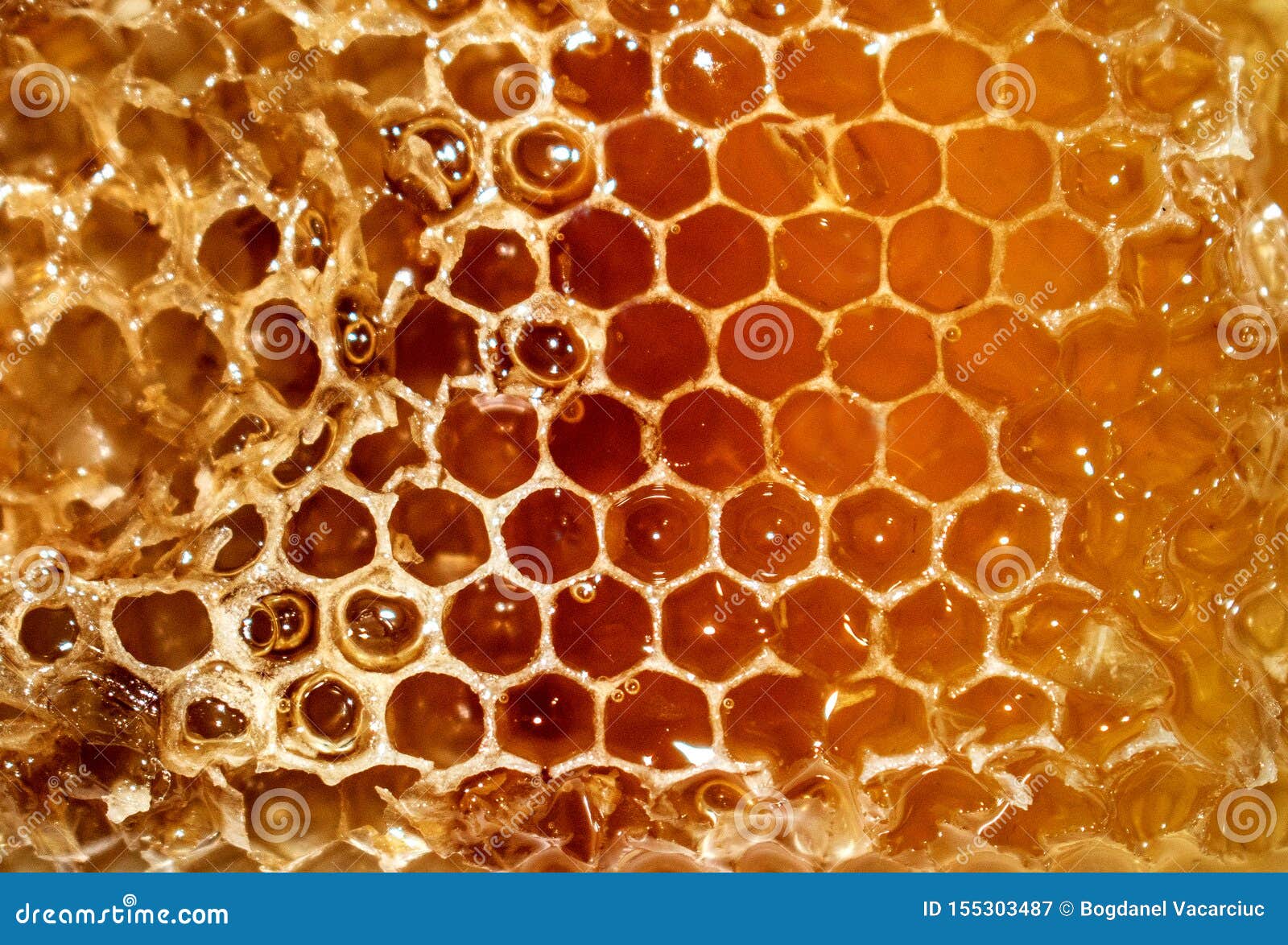 Honeycomb from Which Honey Flows Stock Image - Image of eating, golden ...