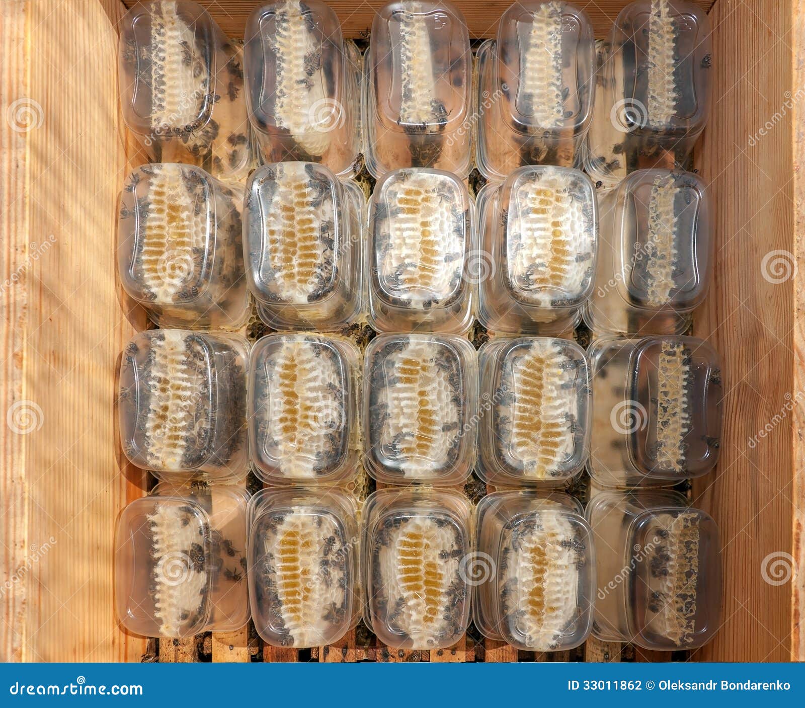 Honeycombs stock photo. Image of package, apiarist, case - 33011862
