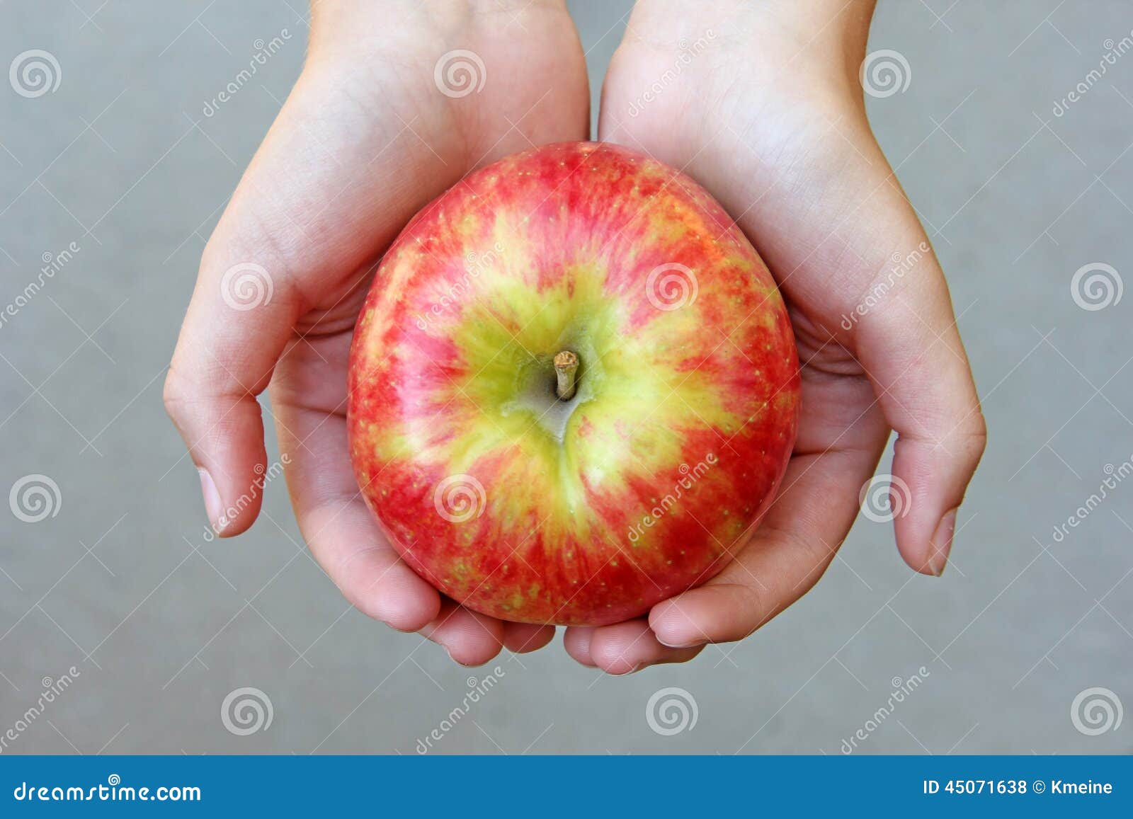 Honeycrisp Apple Held in Palms of a Child Stock Photo - Image of crisp ...