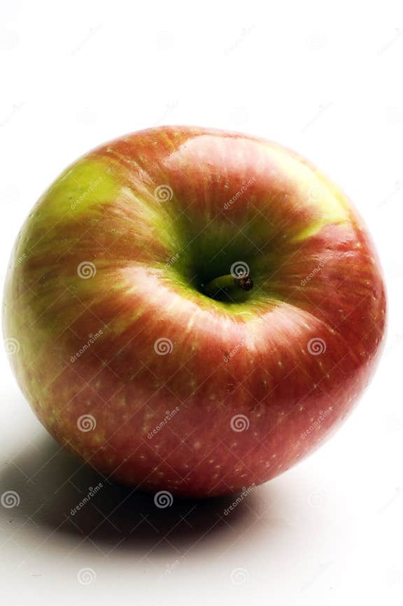 Honeycrisp apples stock image. Image of single, produce - 7153673