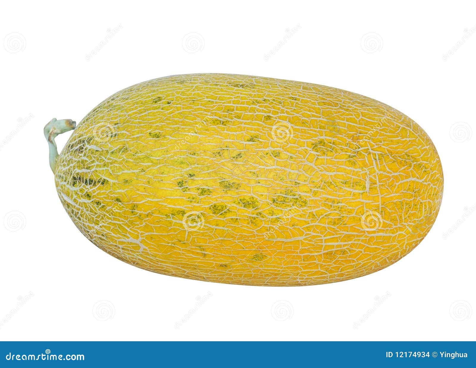 Honeydew stock photo. Image of exotic, nutritious, honeydew - 12174934