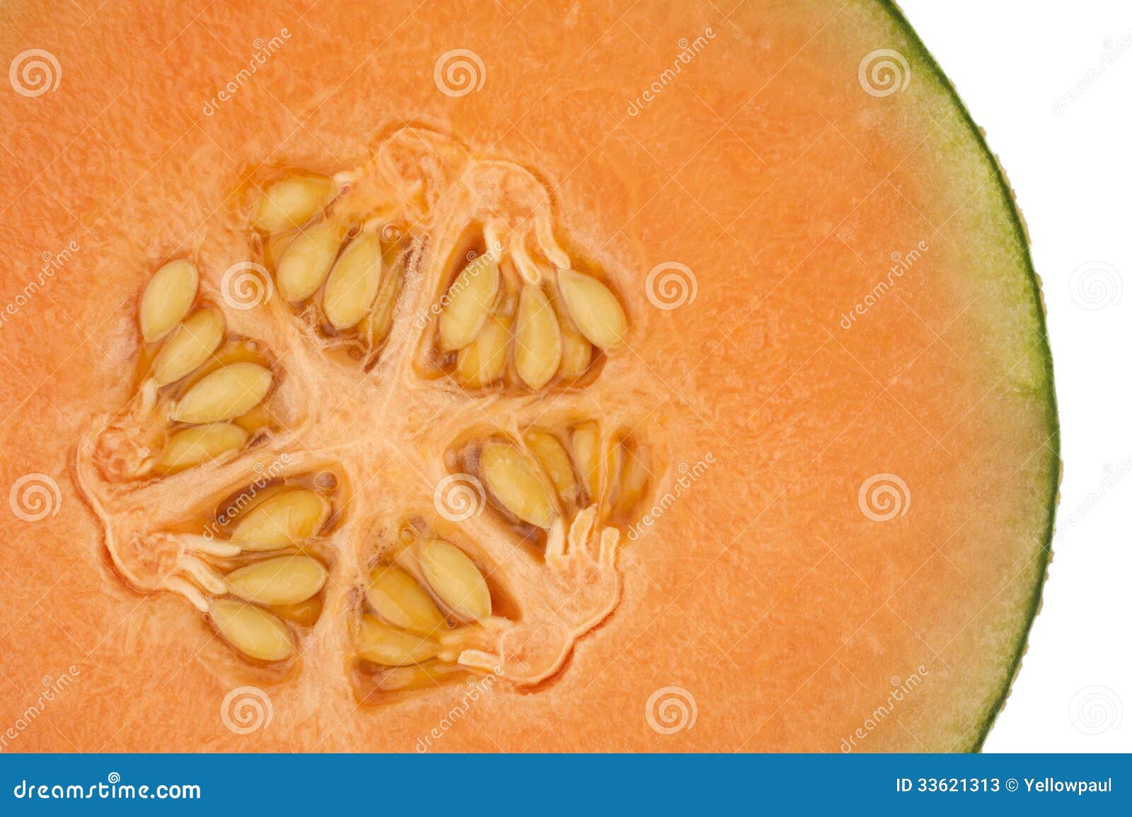 Honeydew melon in close up stock image. Image of close - 33621313