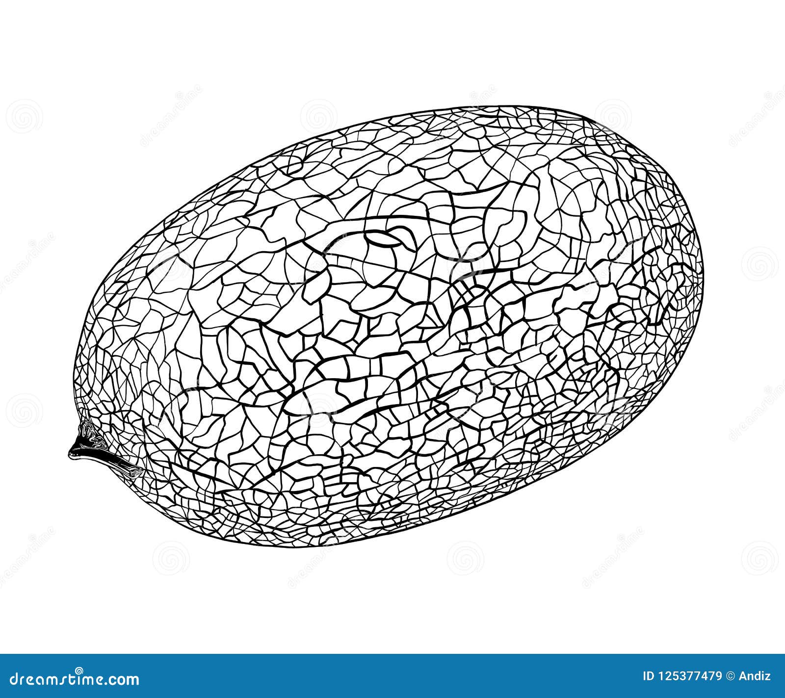 Melon Whole And Half Seamless Pattern On White Background, Fresh ... Melon Whole And Half Seamless Pattern On White Background, Fresh ...