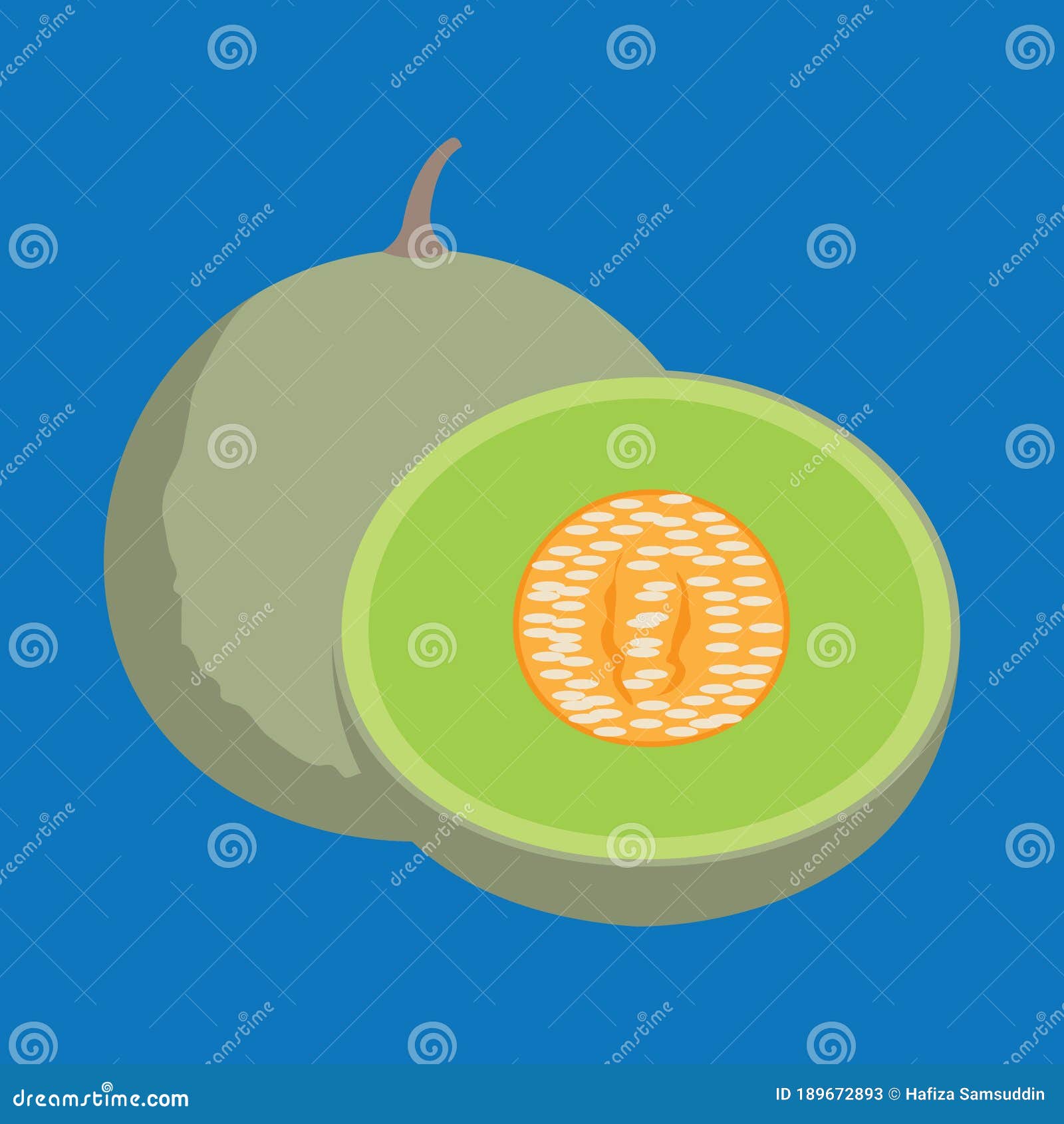 Honeydew. Vector Illustration Decorative Design Stock Vector ...