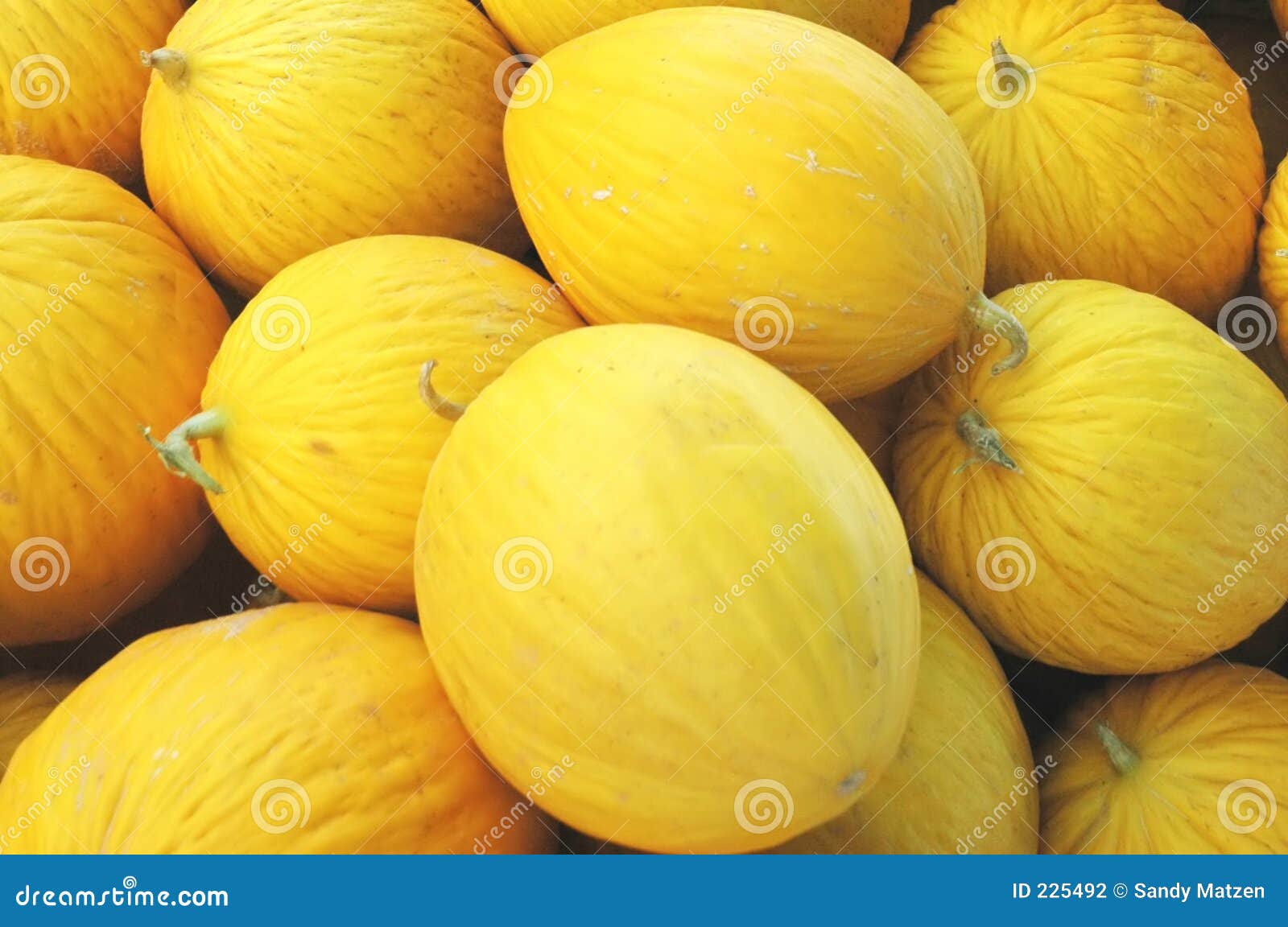 Honeymelons stock photo. Image of italy, healthy, fruit - 225492