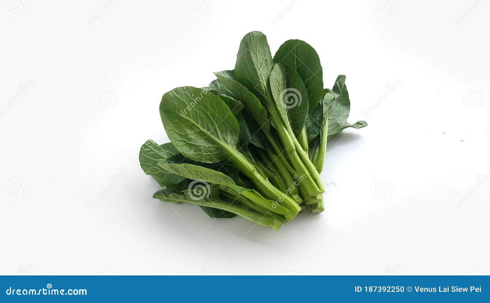 Hong Kong Choy Sum Vegetable on White Background Stock Photo - Image of ...