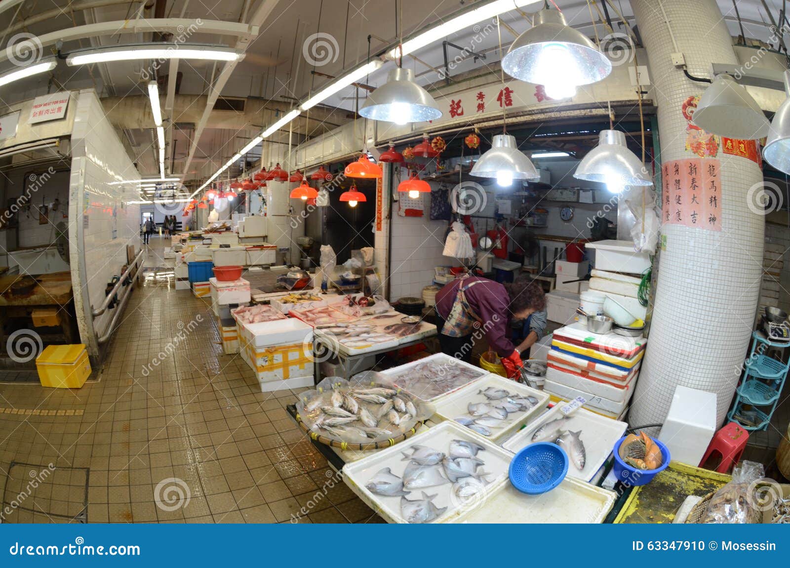 Hong Kong fish market editorial image. Image of asia - 63347910