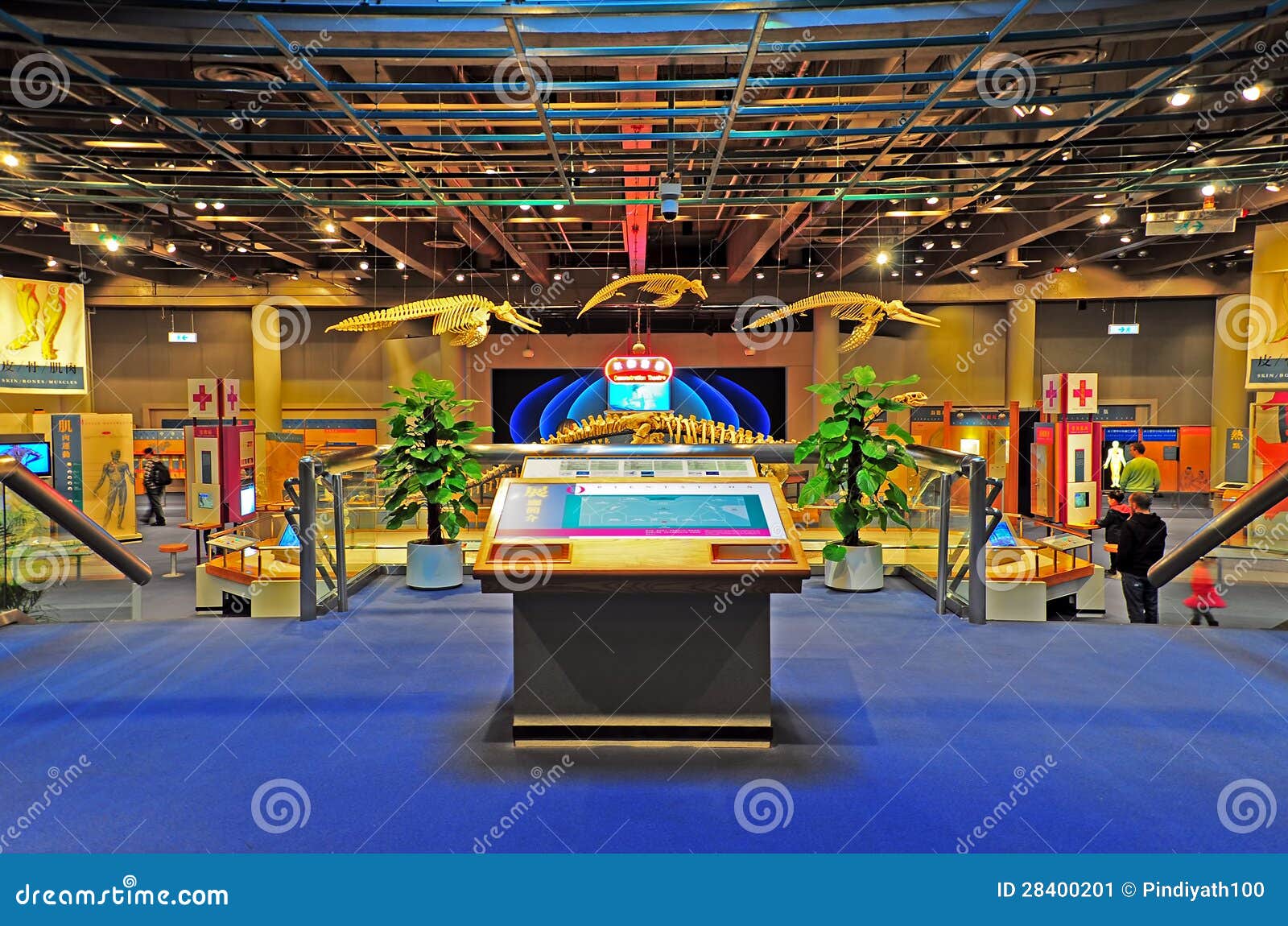 Hong Kong Museum Main Lobby Editorial Photo - Image of science ...