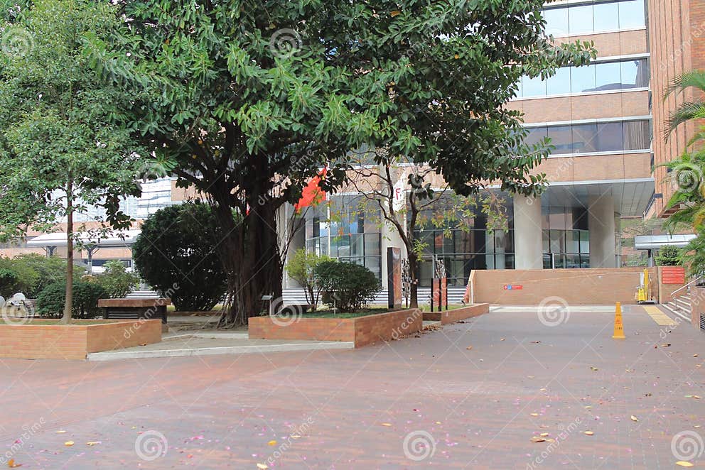 Hong Kong Polytechnic University PolyU Stock Image - Image of group ...