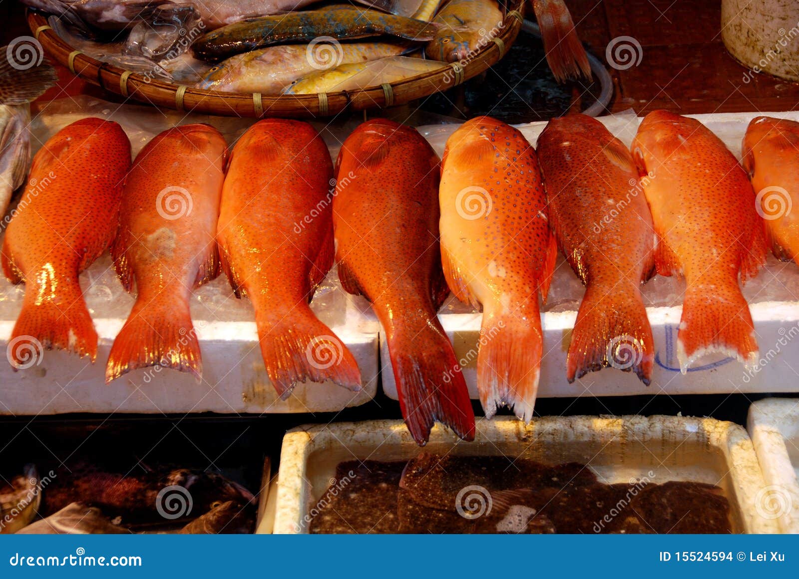 Hong Kong: Red Snapper Fish Stock Photo - Image of kong, fish: 15524594