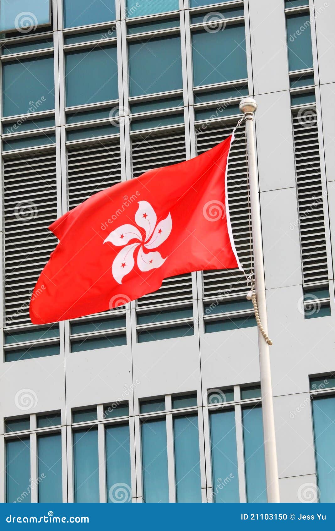 Hong Kong SAR flag stock photo. Image of asia, china - 21103150