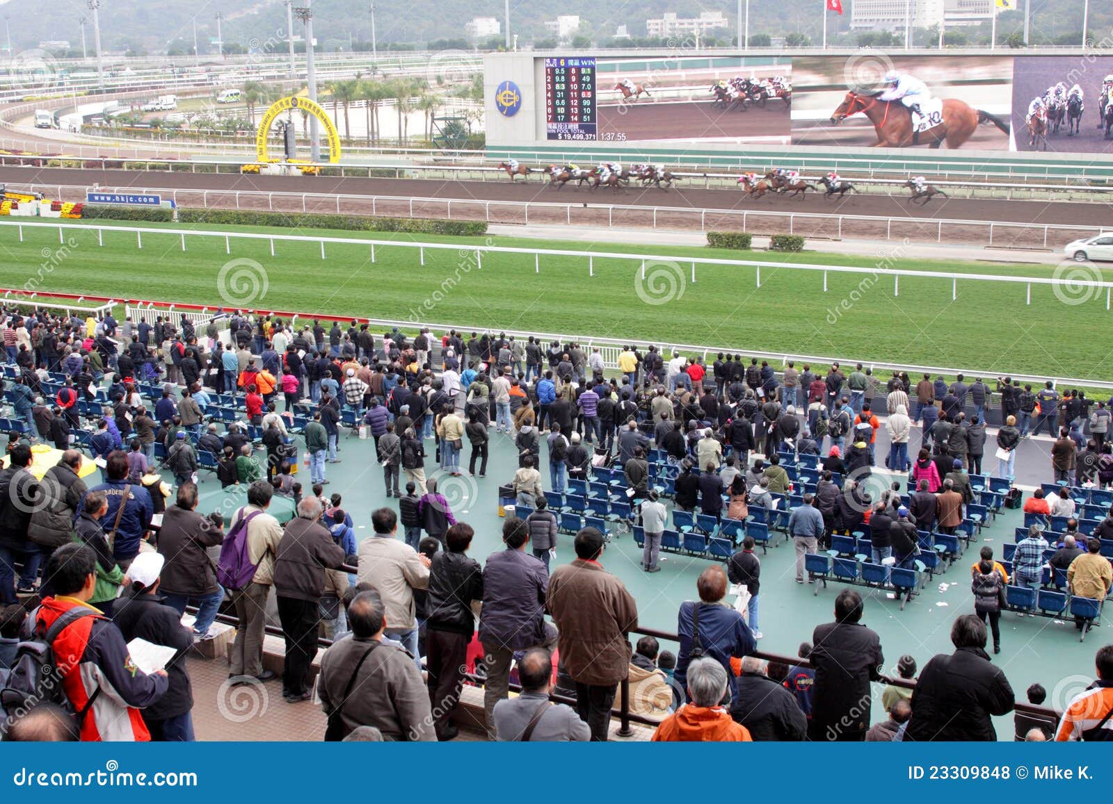 Hong Kong : Sha Tin Racecourse Editorial Stock Photo - Image of animals ...