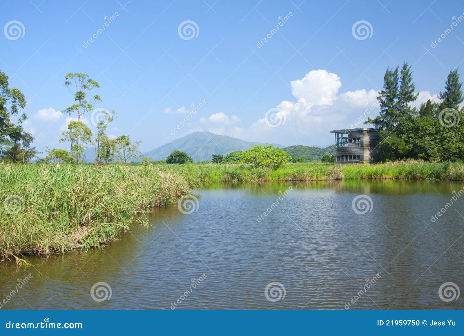 Hong Kong Wetland Park stock photo. Image of hongkong - 21959750