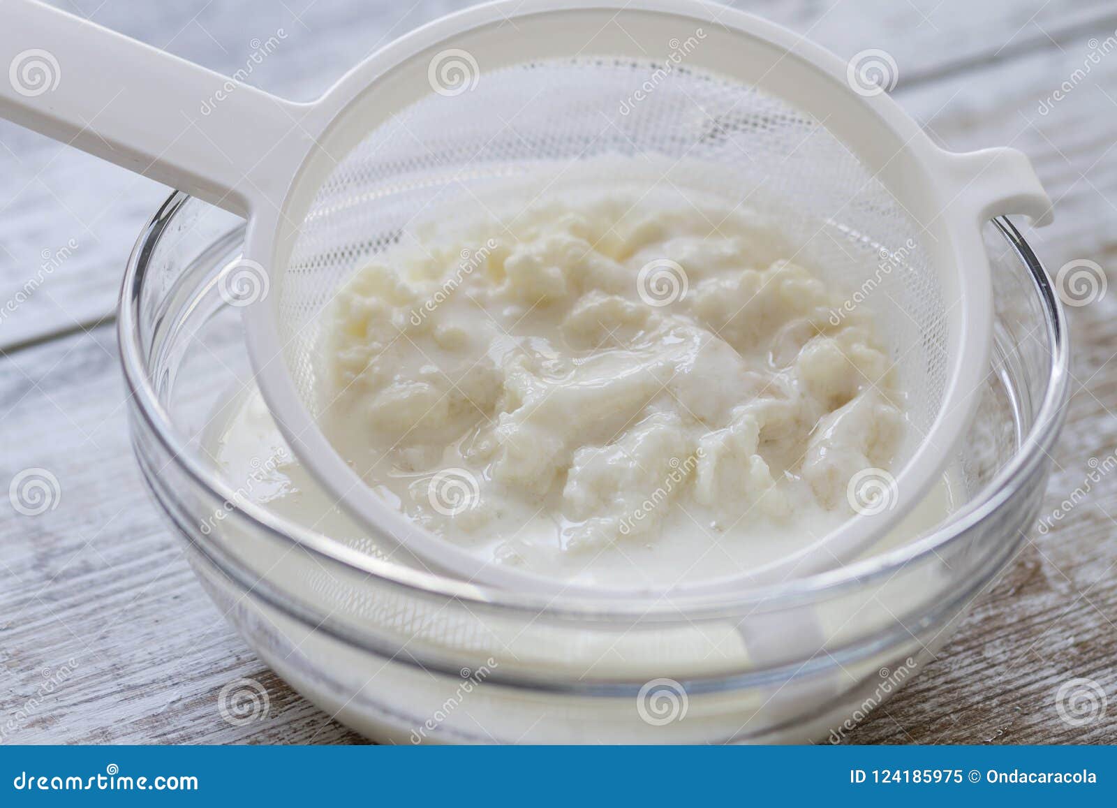 Hongo Del Kéfir De La Leche Imagen de archivo - Imagen de tamiz, salud ...