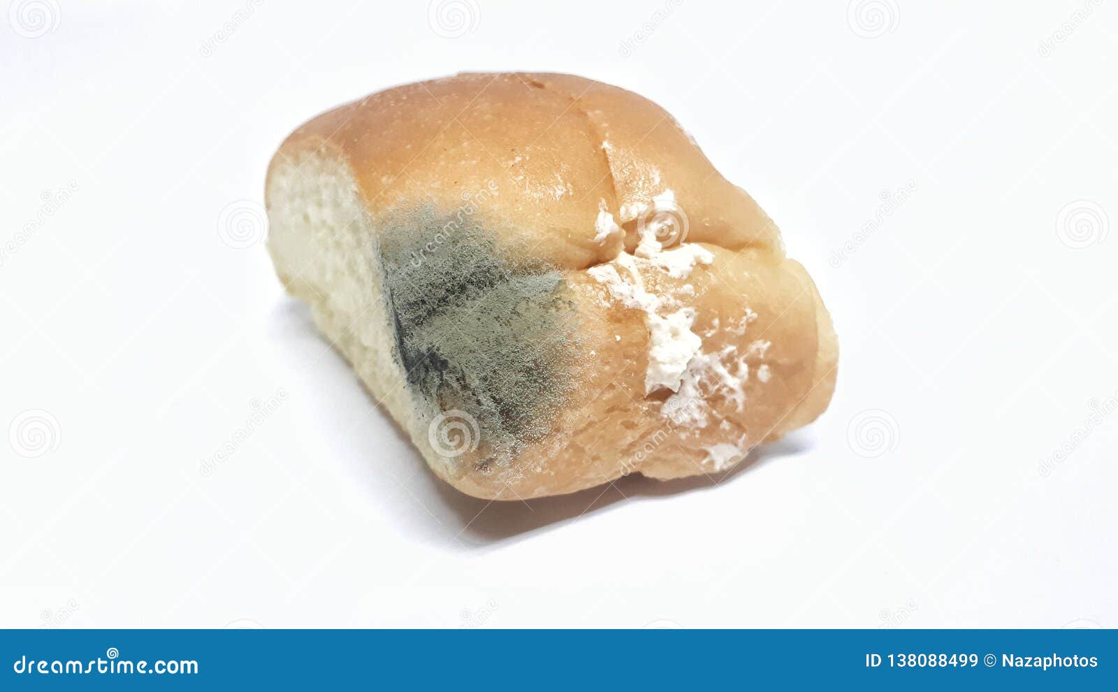 Hongo en el pan expirado imagen de archivo. Imagen de blanco - 138088499