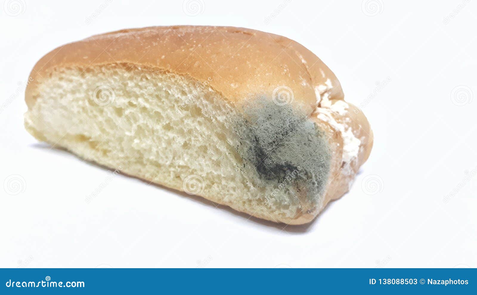 Hongo en el pan expirado imagen de archivo. Imagen de hongo - 138088503
