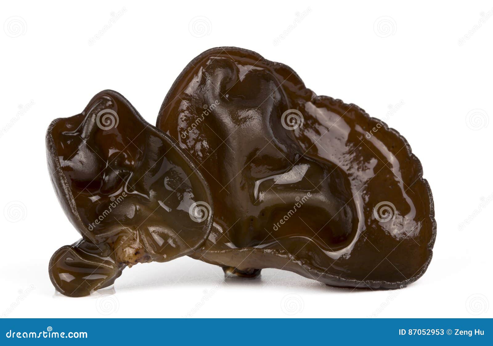 Hongo negro imagen de archivo. Imagen de sano, fungoide - 87052953