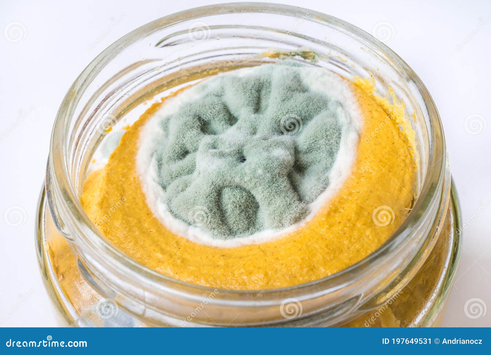 Hongo Verde En La Propagación Del Pan Imagen de archivo - Imagen de ...