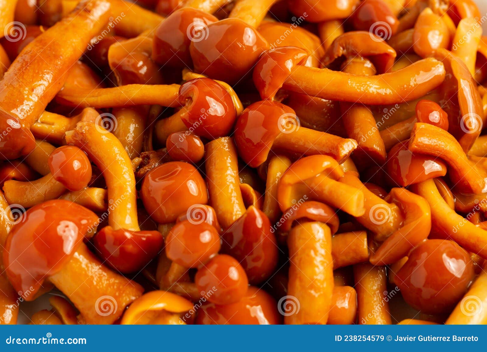 Hongos shiitake chinos imagen de archivo. Imagen de setas - 238254579